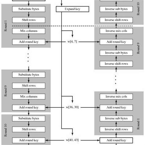 The Overall Structure Of Aes Algorithm Download Scientific Diagram