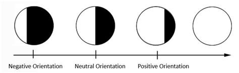 The Outcome Orientation Of Cis Ics Download Scientific Diagram