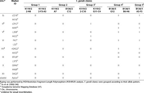 Genotyping Applying Additional Chromosomal Markers Of Toxoplasma Gondii Download Scientific