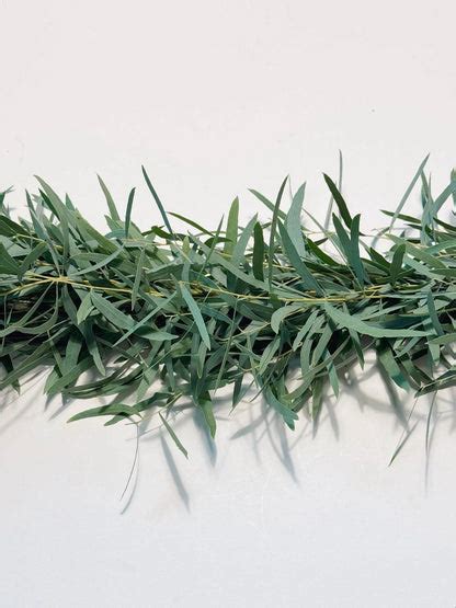 Shop Feather Eucalyptus Garland Wedding Garland Greenery Hello