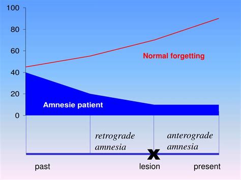 PPT Neuropsychology Of Amnesia PowerPoint Presentation Free Download ID 1200057