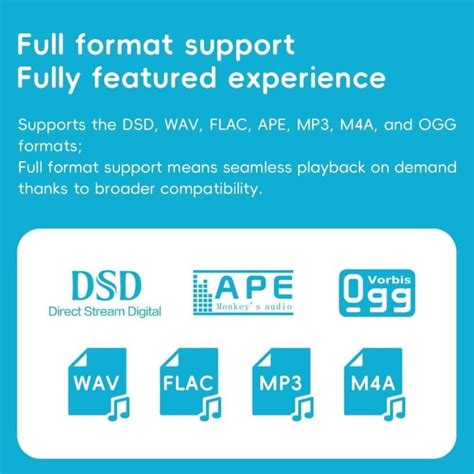 Comprar Fiio Snowsky Echo Mini Reproductor Hi Res Negro