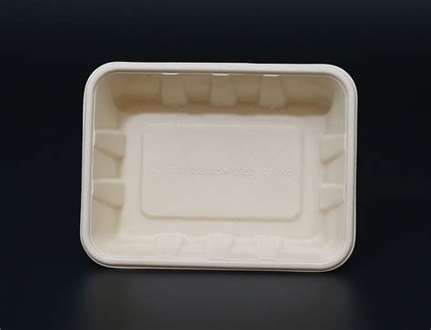 Biodegradable Bagasse Traybagasse Pulp Trays