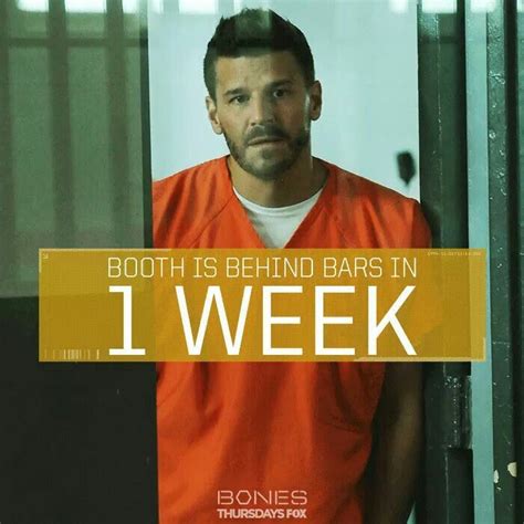 Pin On Bones Good Show