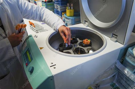 Medical Analysis Laboratory Stock Image C0605217 Science Photo Library