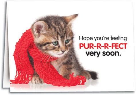 Funny Cat Feel Better