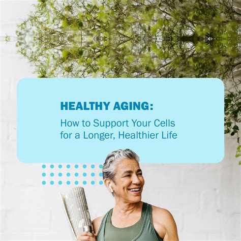 Wellworks For You Healthy Aging And Cellular Senescence How To Support Your Cells For A