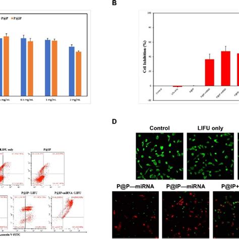 Validation Of Gene Transfection Capacity Of Nanoparticles A Download Scientific Diagram