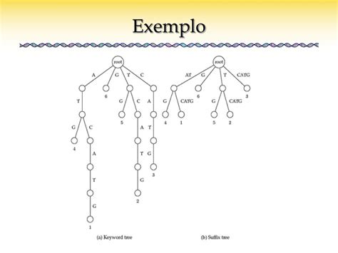 Ppt Combinatorial Pattern Matching Blast Powerpoint Presentation Free Download Id 3305748