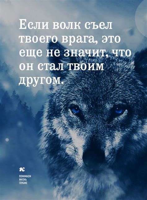 Пин от пользователя ÐÑÐ±Ð¾Ð²Ñ Ð¡Ð¸Ð·Ð¾Ð°Ð° на доске жизнь Правдивые