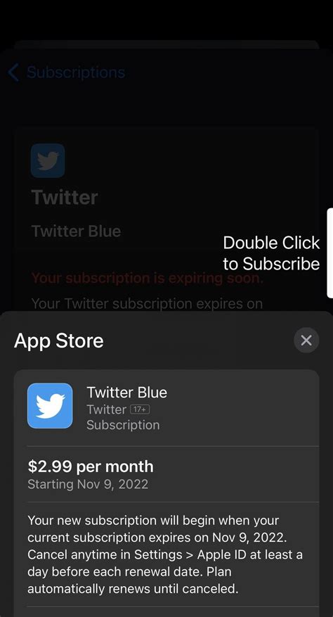 Posting My Twitter Archive R Twitter