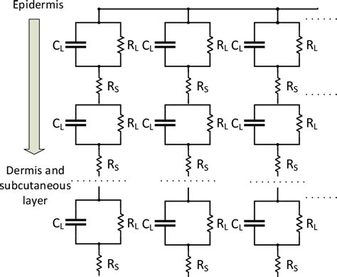 Skin Impedance Model Provided By Lykken [37] Download Scientific Diagram