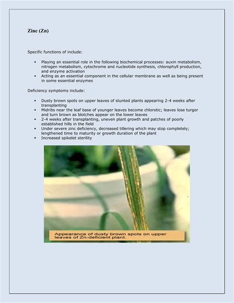 Deficiency And Toxicity Symptoms In Rice Plant Docx