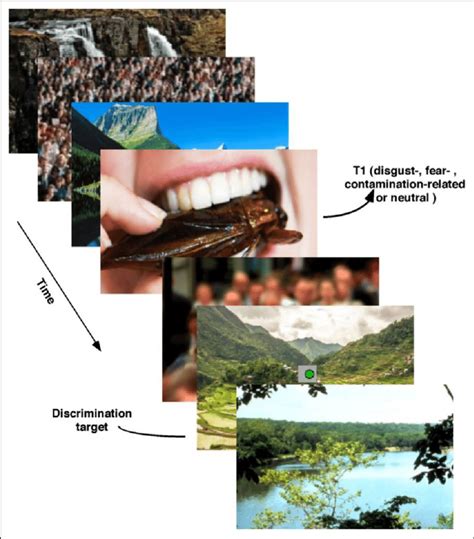The Emotional Attentional Blink Task With Distracting Stimuli And The