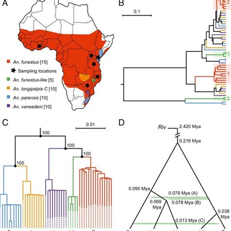 Smc Results For Inferring Population Size Histories In Cultivated Download Scientific Diagram