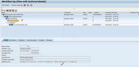 Raising And Handling Exception In Work Flow Sapcodes