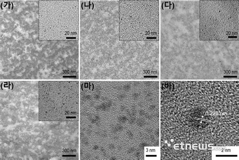 Gist 원하는 크기·모양 재단하고 반복 사용 가능한 필름 형태 나노반응기 개발 전자신문