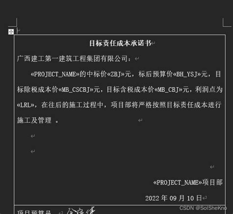 【案例】【目标成本编制】利用docx mailmerge与xlwings实现excel与word自动化办公，节省重复编制文件的时间 csdn博客