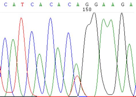 Figure S 1 Portions Of Dna Sequencing Electropherograms A Download Scientific Diagram