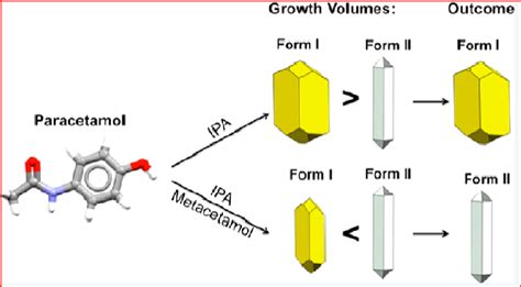 Crystal Habits And Shapes Of The Two Polymorphs Of Paracetamol The Download Scientific Diagram
