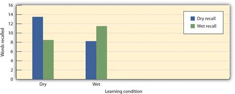 Memory Retrieval Cues