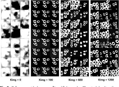 Figure 2 From A Generative Benchmark For Evaluating The Performance Of Fluorescent Cell Image