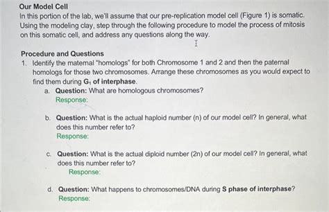 Solved Our Model Cell In This Portion Of The Lab We Ll Chegg Com