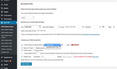 Bulk Delete Posts By Custom Field Bulk WP
