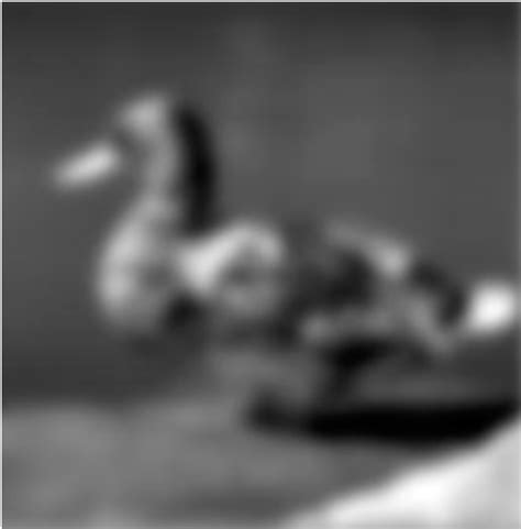 A Sample Image Filtered Into Different Spatial Frequency Bands Using Download Scientific