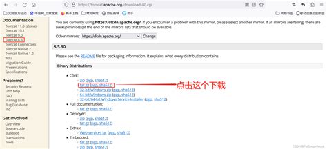 Linux 上搭建 Java Web 环境