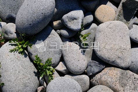 바위 암석 돌 자연 불규칙 사진이미지일러스트캘리그라피 Foolish Calf작가