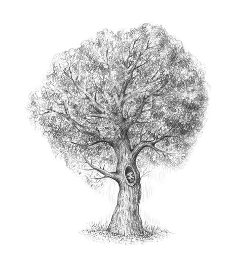 How To Draw A Tree Graficznie How To Draw A Tree Graficznie