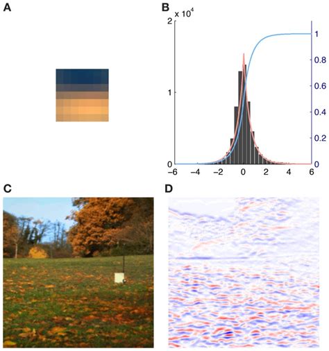 Illustration Of The Contribution Of A Single Basis Function Number