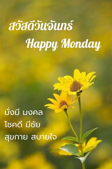 ปักพินโดย ‘pharat ใน สวัสดีวันจันทร์ คำคมปราชญ์เปรื่อง สวัสดีตอนเช้า วันจันทร์