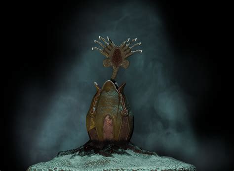 Facehugger In Egg At Janet Simmons Blog