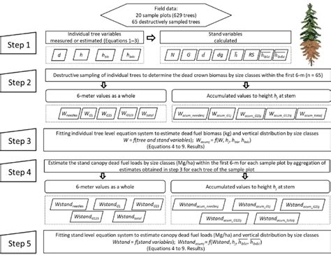 Workflow For Fitting The Equation Systems At Individual Tree And Stand Download Scientific