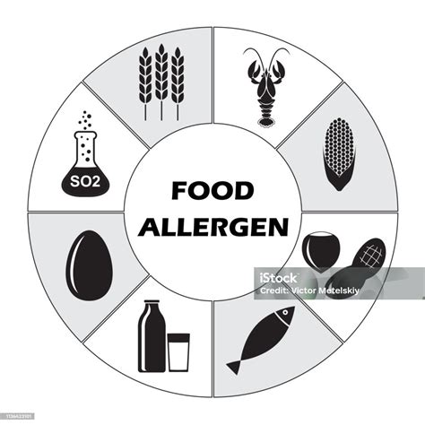 음식 알레르겐 아이콘 설정 흰색 배경에 고립 인포 그래픽 템플릿입니다 벡터 일러스트입니다 꽃가루에 대한 스톡 벡터 아트 및 기타 이미지 Istock