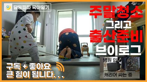 출산을 앞둔 3인 가정의 육아 일상산부인과 입원전 청소 만찬 캐리어 싸기 Youtube