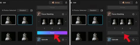 Focus Stacking Technique Examples And Best Settings