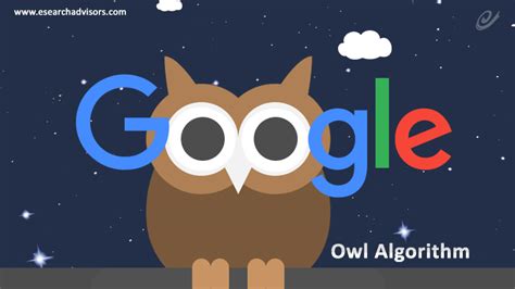 Owl Algorithm E Search Advisors Blog