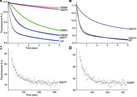 Domain Iv Mutations Cause Mrna Translocation Defects A Fluorescence