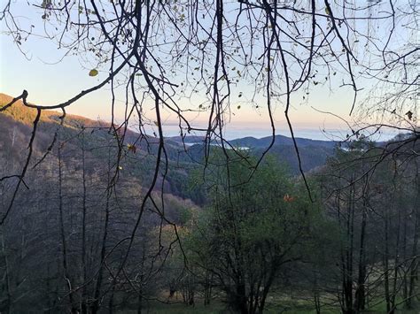 The Phenomenon Of Thermal Inversion In The Transylvanian Depression Romania The Phenomenon Can