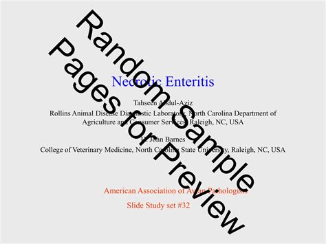 Necrotic Enteritis Preview Libro De Veterinaria Pdf