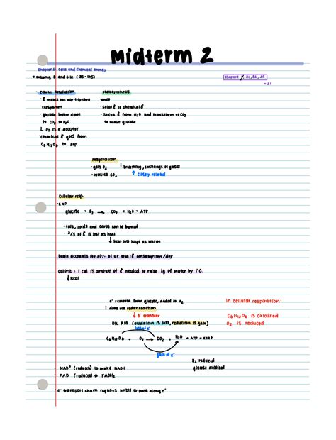 Midterm Bio Midterm Chapter Cellsandchemicalenergy Skipping And Ration Studocu