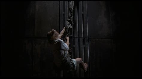 Nicky Guadagni S Feet I Piedi Di Nicky Guadagni Celebrities Feet