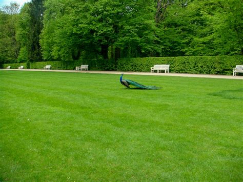 497 Lawn Care Business Names Powerful And Memorable