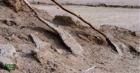 Discovering The Shifting Patterns Of Rainfall Due To Deforestation