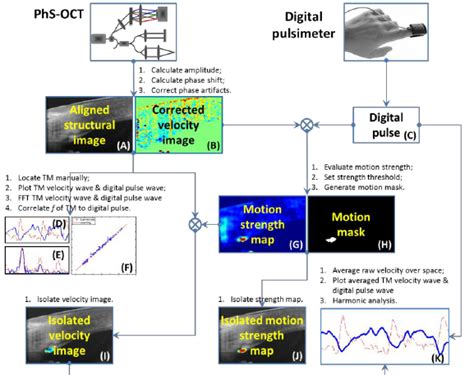 Flow Chart Of Phs Oct Signal Processing In D E And K Solid