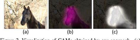 Figure 2 From Learning Pixel Level Semantic Affinity With Image Level