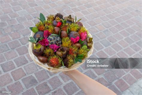 여 자가 그녀의 손에 들고 이국적인 과일의 꽃다발의 형태로 선물 개체 그룹에 대한 스톡 사진 및 기타 이미지 개체 그룹 건강한 식생활 계절 Istock